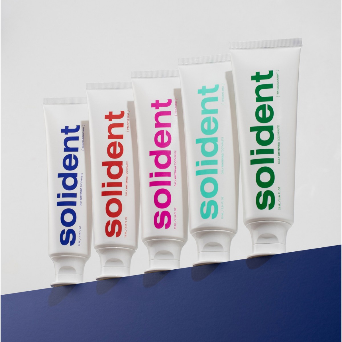 Щоденна зубна паста, що відбілює, Solident 90 г Смородина-м'ята купити ...